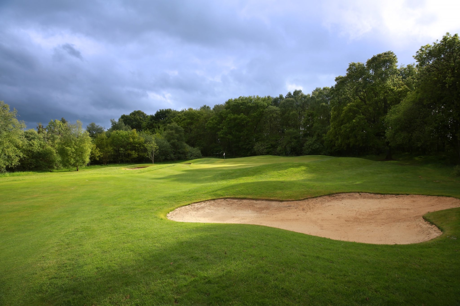 Golf Packages for Linden Hall - UK Golf Breaks